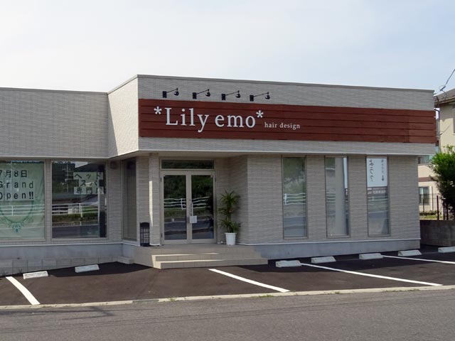 hair design *Lily emo*（リリィエモ） - うんせきブログ